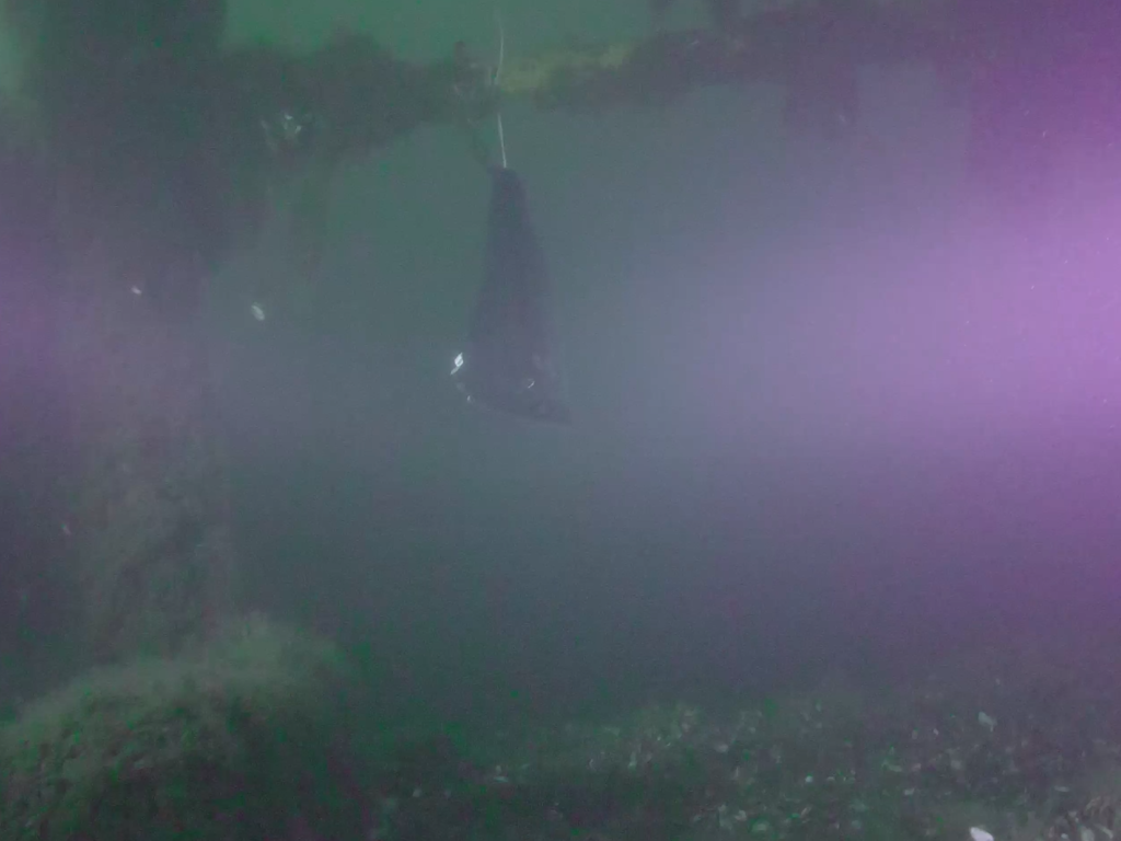 Logbericht van Michael Rijk voor TWISKE KURE-JAN STRAND