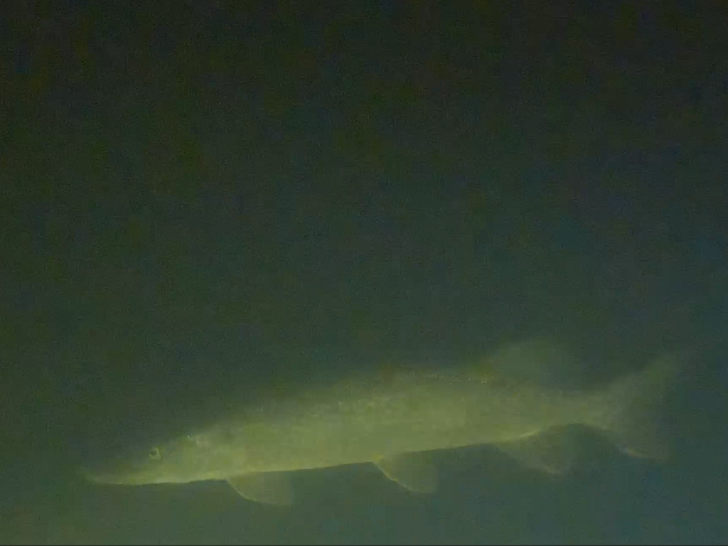 Logbericht van Michael Rijk voor TWISKE KURE-JAN STRAND