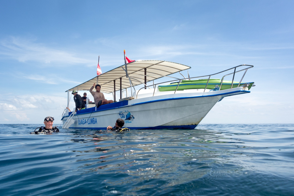 ANGELS CANYON, Indonesië, Dive Site Information