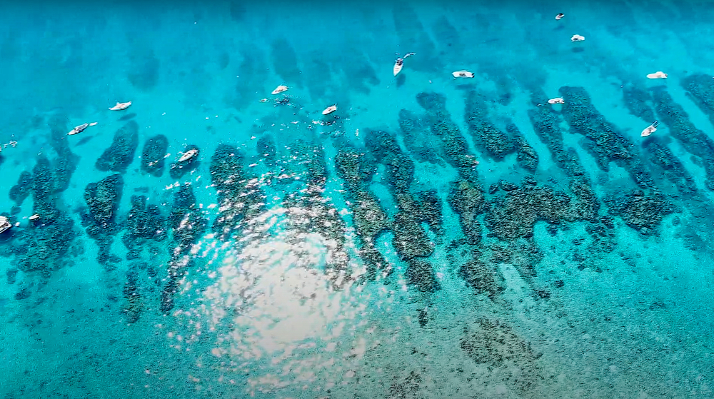 SAND KEY, Verenigde Staten, Dive Site Information