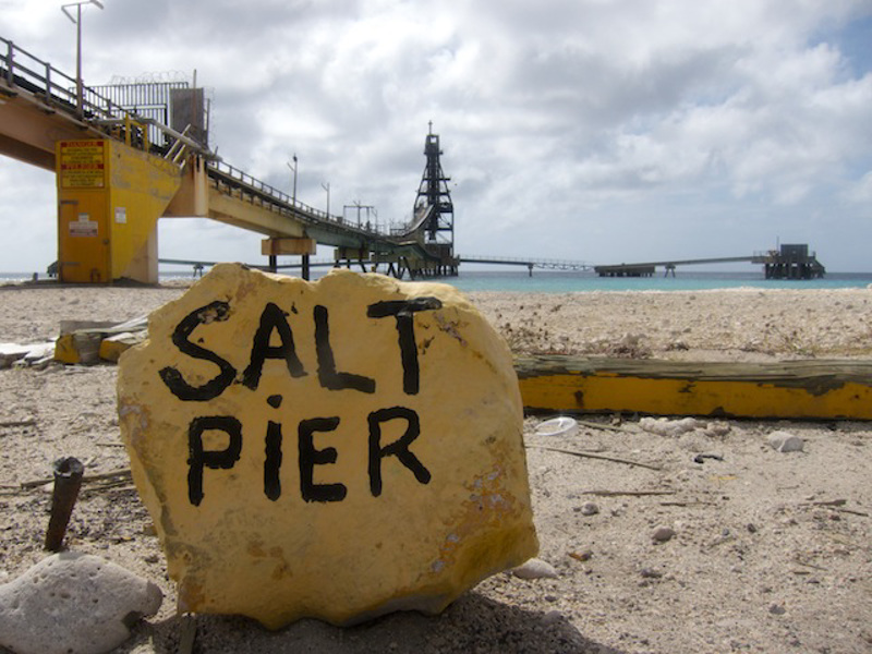 SALT PIER, Bonaire, Dive Site Information